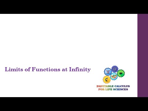 Limits of Functions at Infinity - YouTube