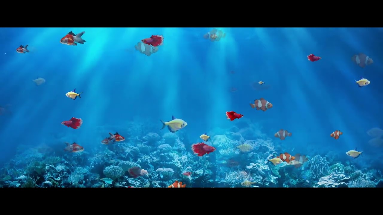 Ender Fish Swarm WUHD (4K) - YouTube