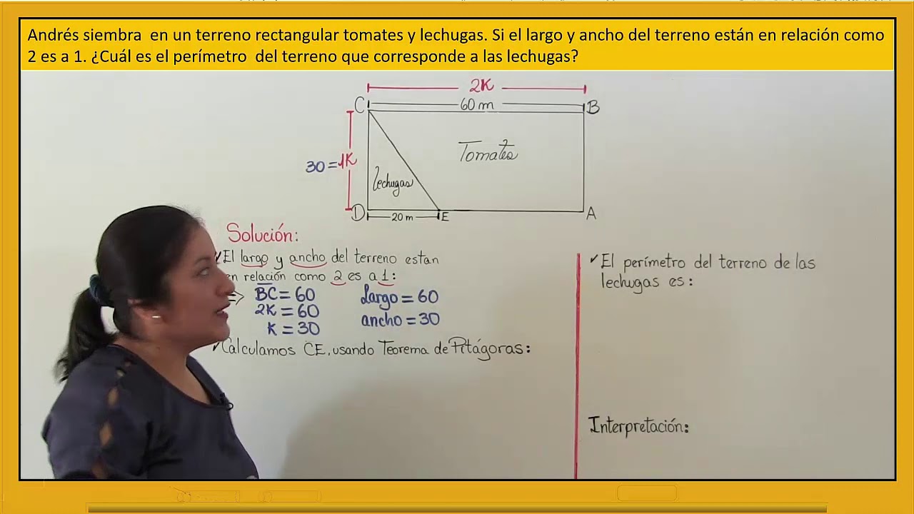 Perímetros y áreas problema terreno rectangular - YouTube