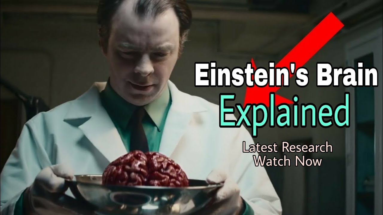 Einstein Brain vs Normal Brain | Surprising Fact Revealed - YouTube