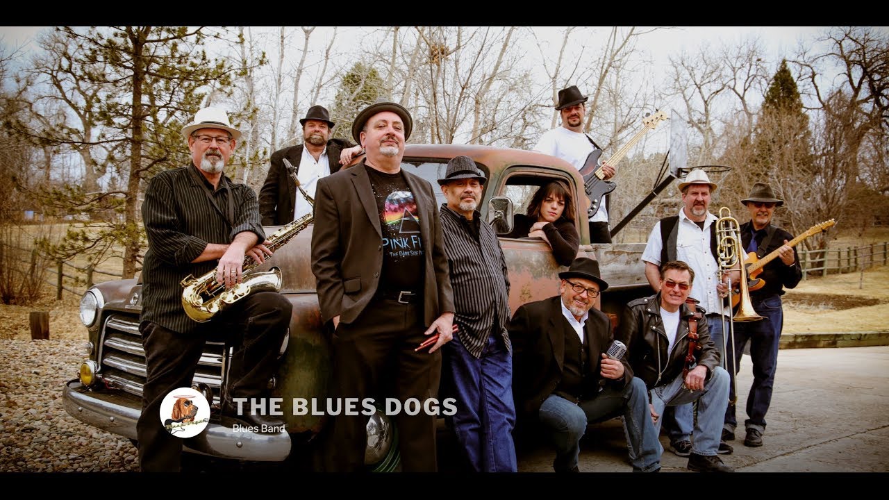 The Blues Dogs - Blues Band - Northern Colorado - YouTube