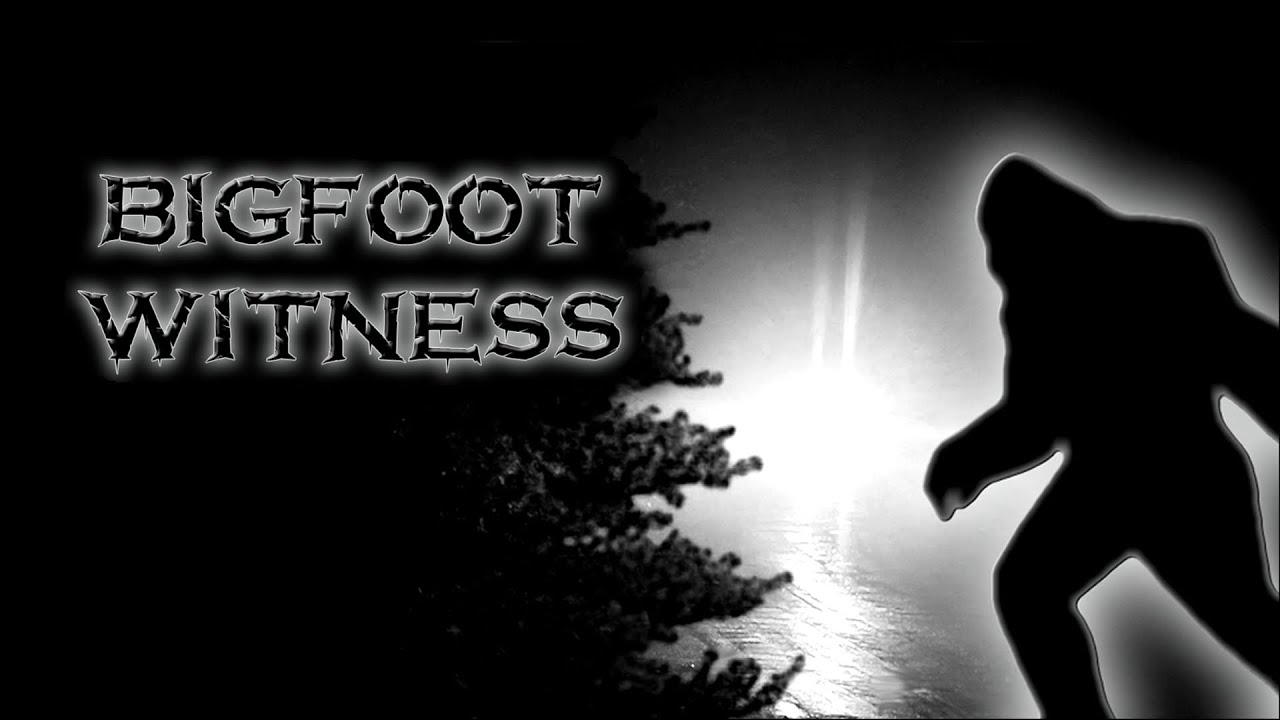 Bigfoot Witness (FULL MOVIE) (Documentary) (Terry Roark, Corinna Long ...