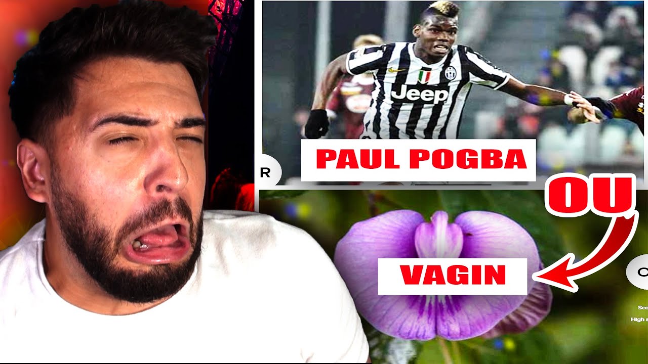 QUI EST LE PLUS CÉLÈBRE? ⚠️ (y a des bailles chelou d'sa mère) - YouTube