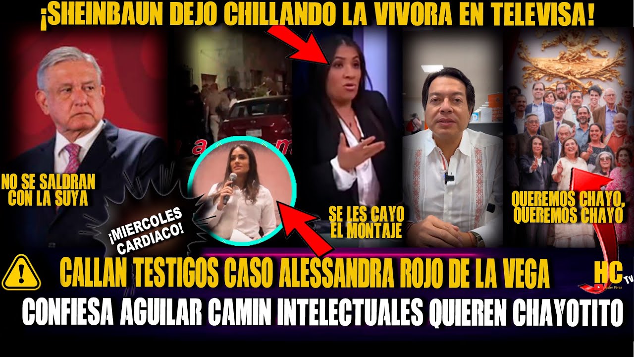 SHEINBAUM DEJA CHILLANDO LA VIVORA EN TELEVISA, CALLAN TESTIGOS ...