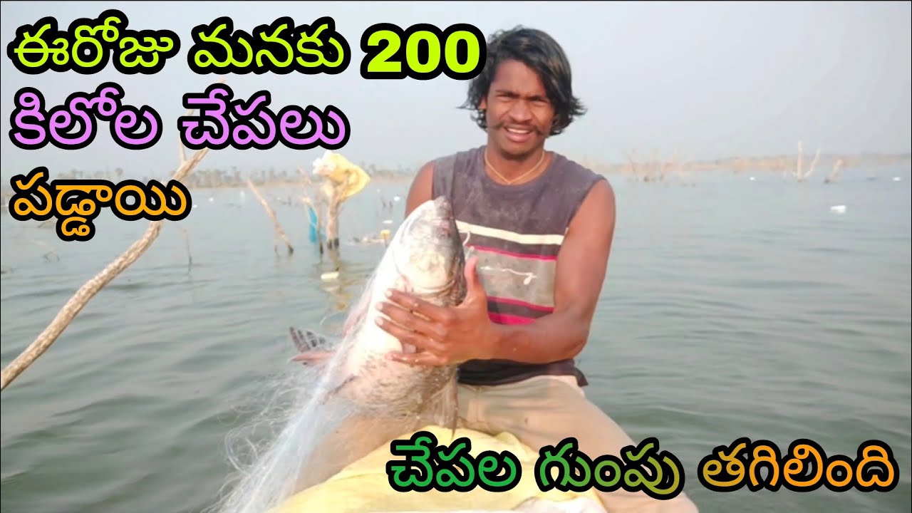 Fish Hunting | ఈరోజు 200 కిలోల చేపలు పడ్డాయి | part 1 - YouTube