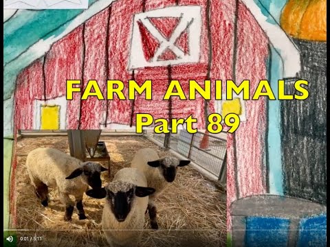 FARM ANIMALS on the FARM (Part 89) EDUCATIONAL KIDS / Babies, Toddlers ...