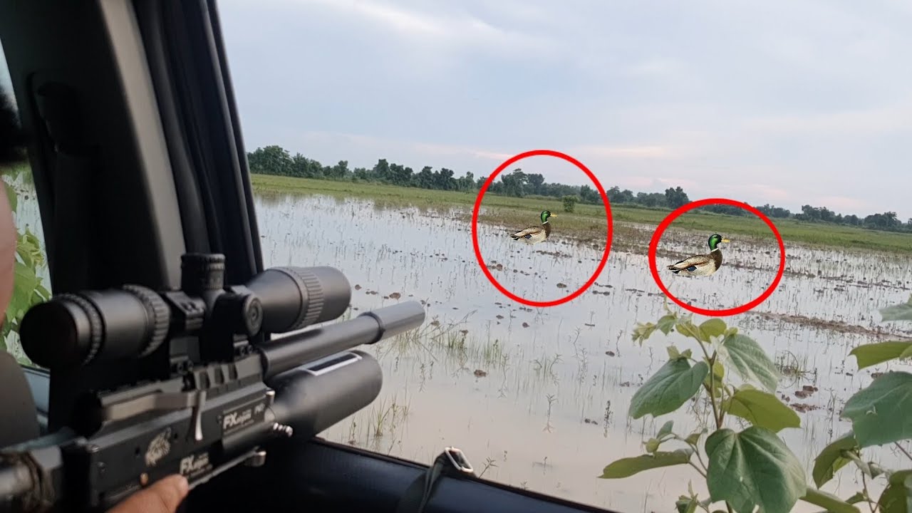 Gun hunting with sound - YouTube