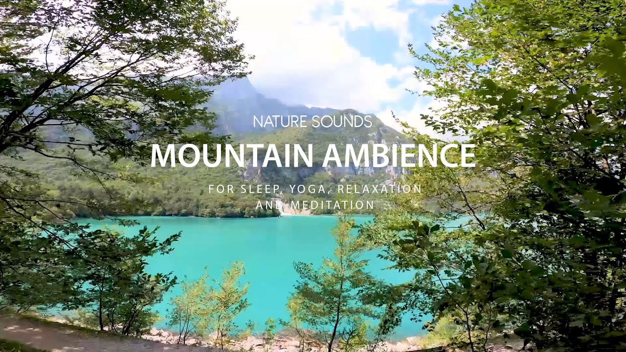 Forest Birdsong. Mountain Ambience, Relaxing Nature Sounds | No ...