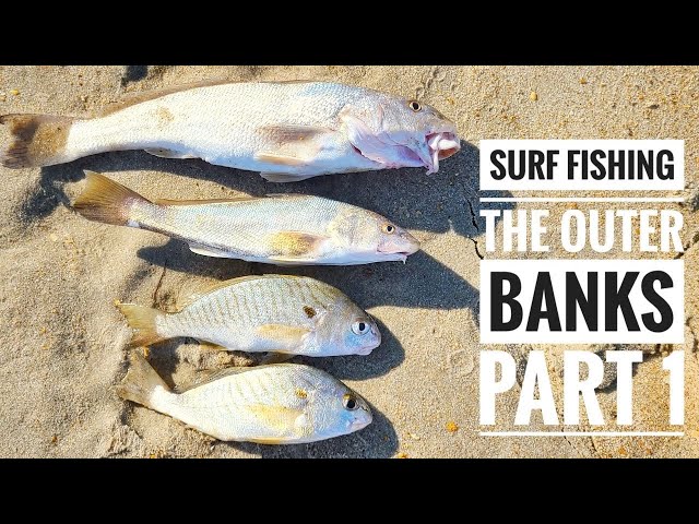 Outer Banks Surf Fishing Tips Fishing In OUTER BANKS: The Complete