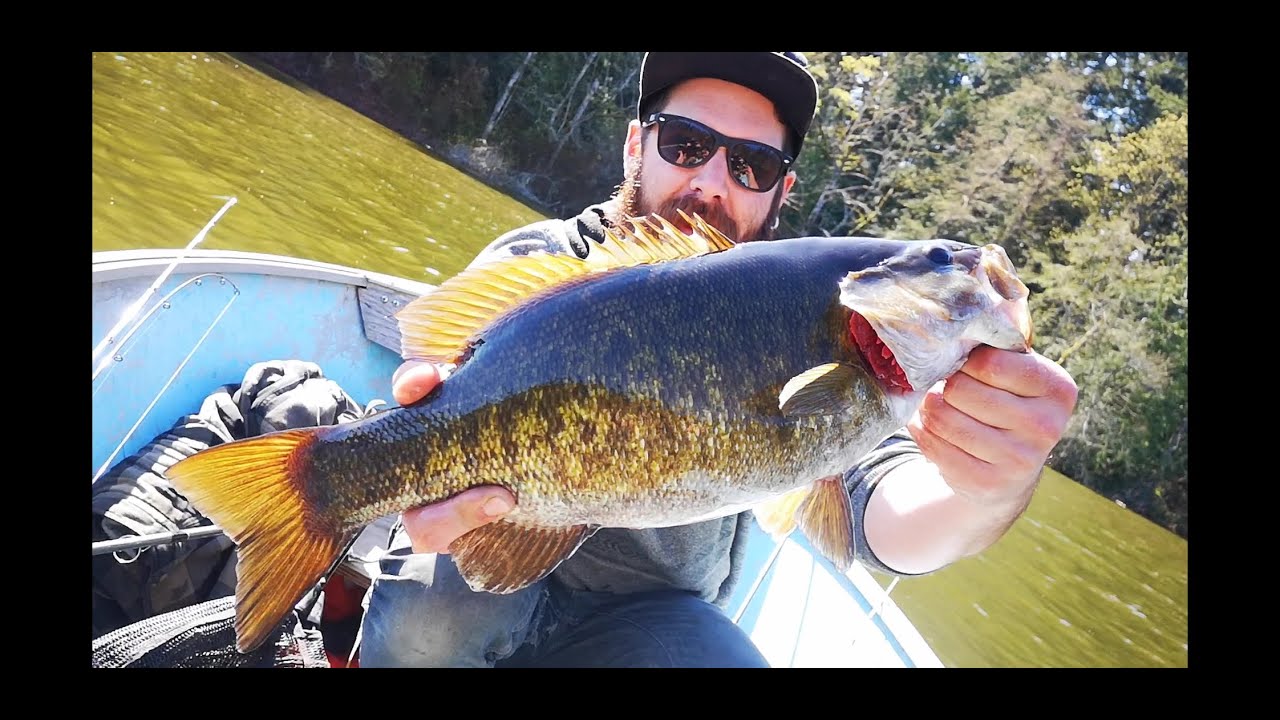 New Personal Best! Finding Pre spawn Smallmouth - YouTube