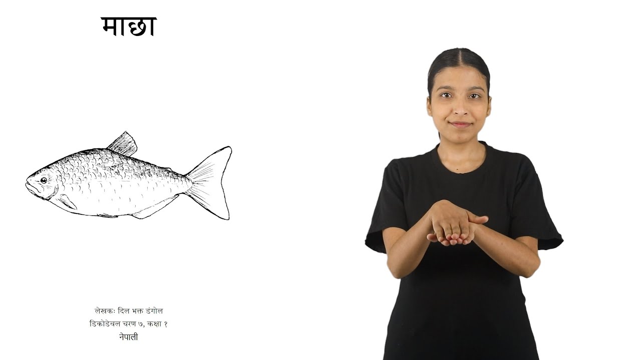 माछा Nepali Sign Language (NSL) - YouTube