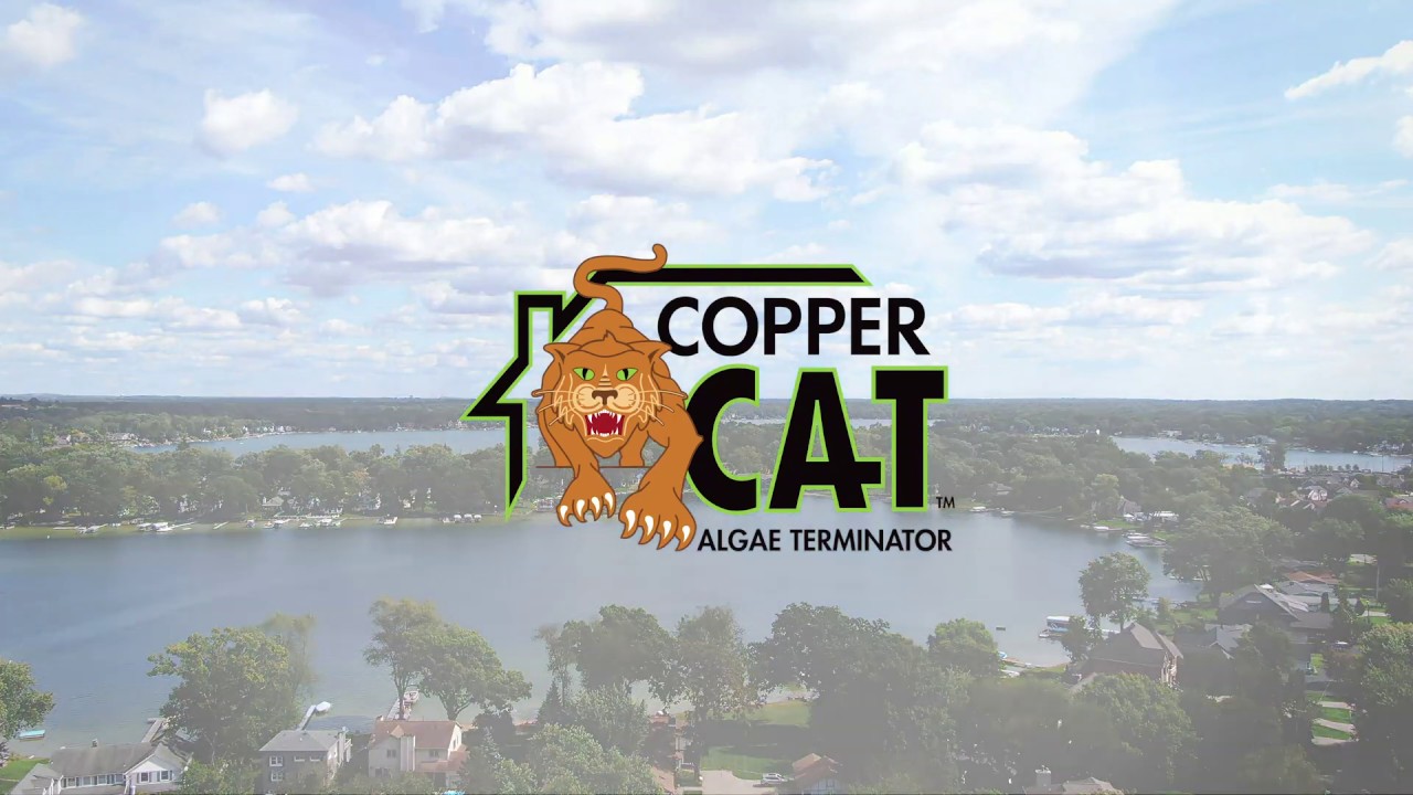 Copper Cat Roof Cleaning System - YouTube