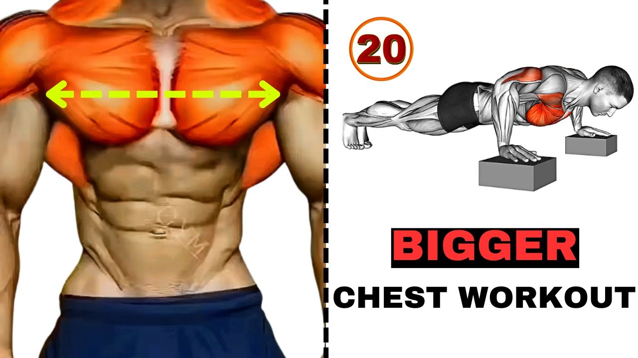 20 BEST UPPER, INNER AND LOWER CHEST WORKOUT FOR BIGGER CHEST - YouTube