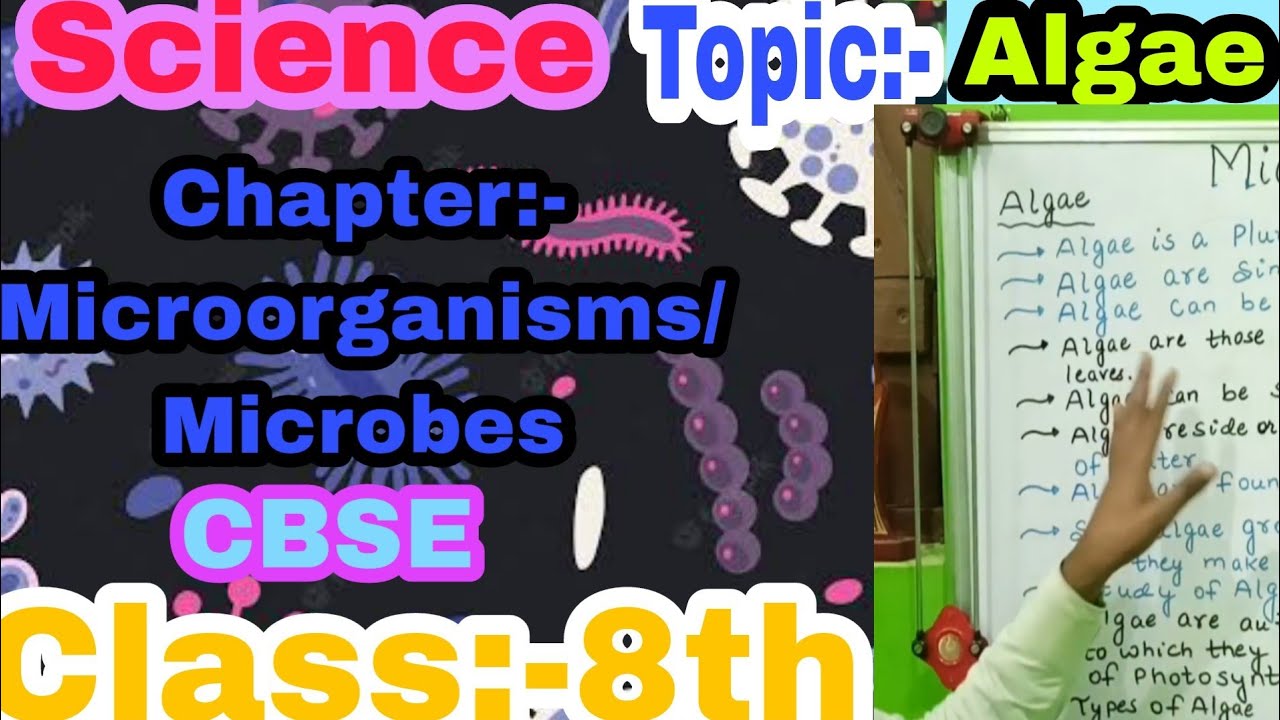Class:-8th Science Chapter:- Microorganisms/Microbes ||Topic:- Algae ||#praveen rastogi - YouTube