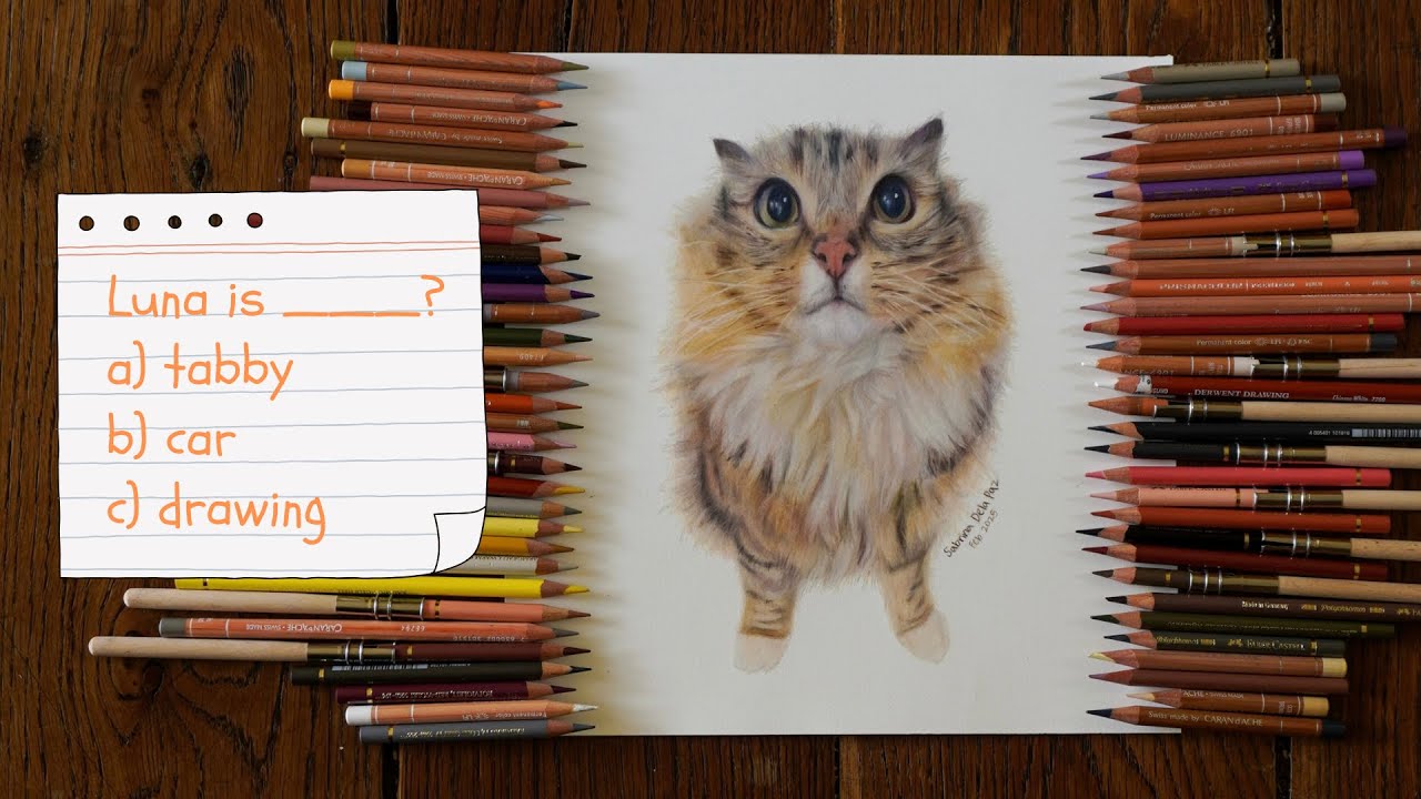 Luna is Tabby. But Luna is also Drawing. - YouTube