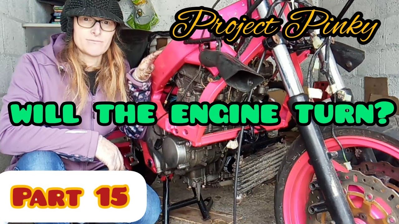 Project Pinky part 15. New engine oil and will it turn after 6 years ...