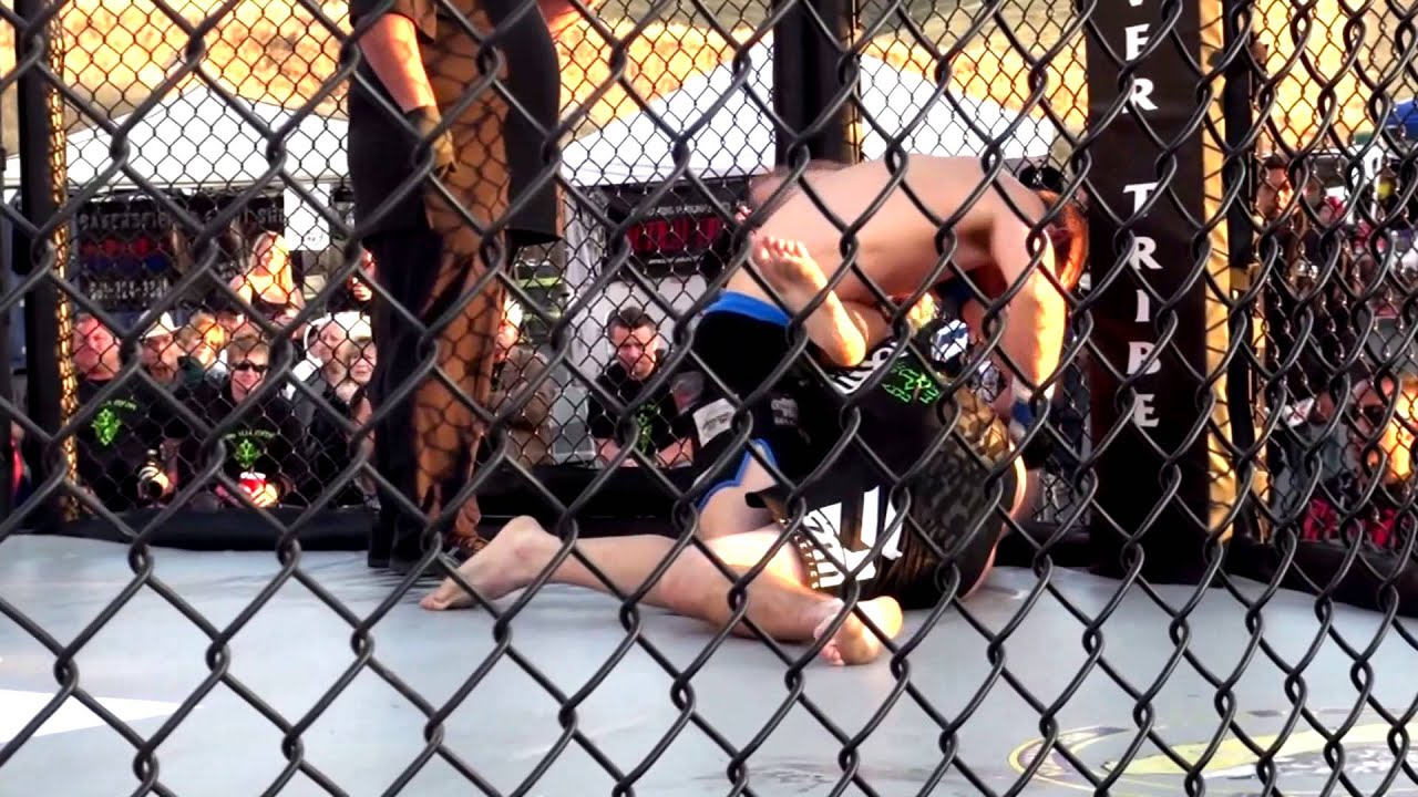 TEAM LLAMAS Pure Pain Chingon Fights - YouTube