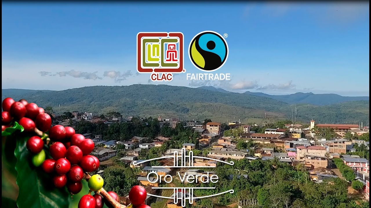 Cooperativa ORO VERDE - Perú - YouTube