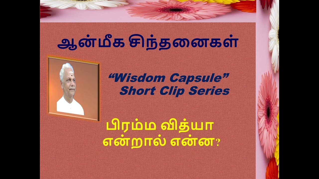 Wisdom Capsule|dt 8-7-22 - YouTube