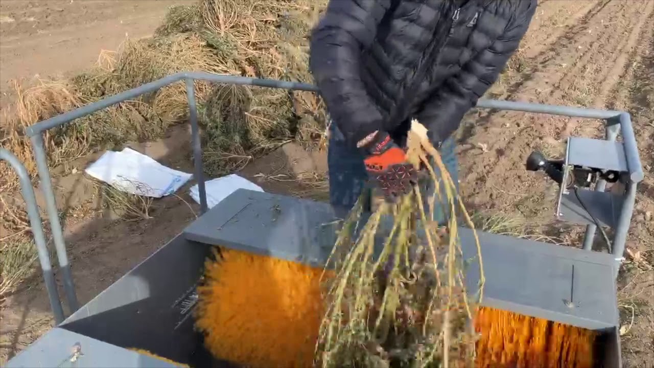 MAXPRO Hemp Bucking - YouTube