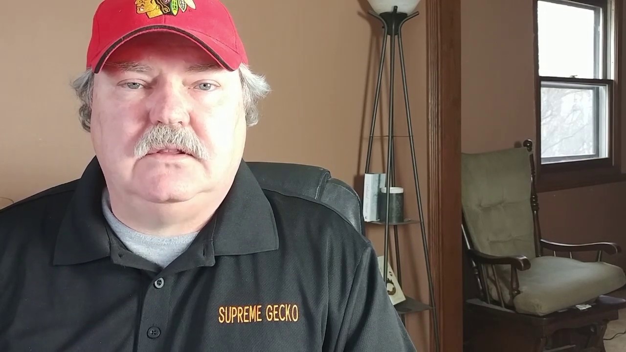 Welcome to the Supreme Gecko Channel - YouTube