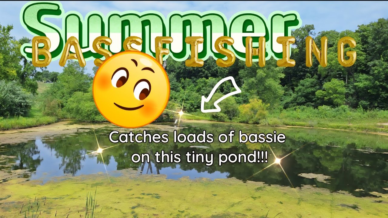 LOADS OF LARGEMOUTH (TINY POND) #fishing - YouTube
