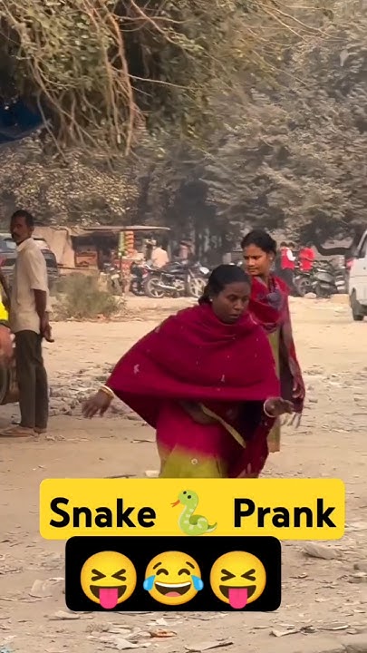 🐍Snake Prank 🐍|| Funny Video || #prank#snake#funny#funnyvideo#shorts# ...