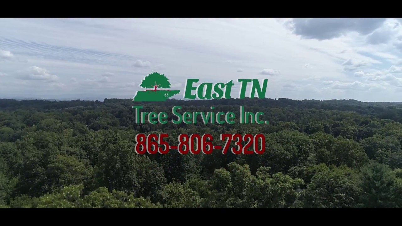 East TN Tree Service | Skyworks360 HD - YouTube