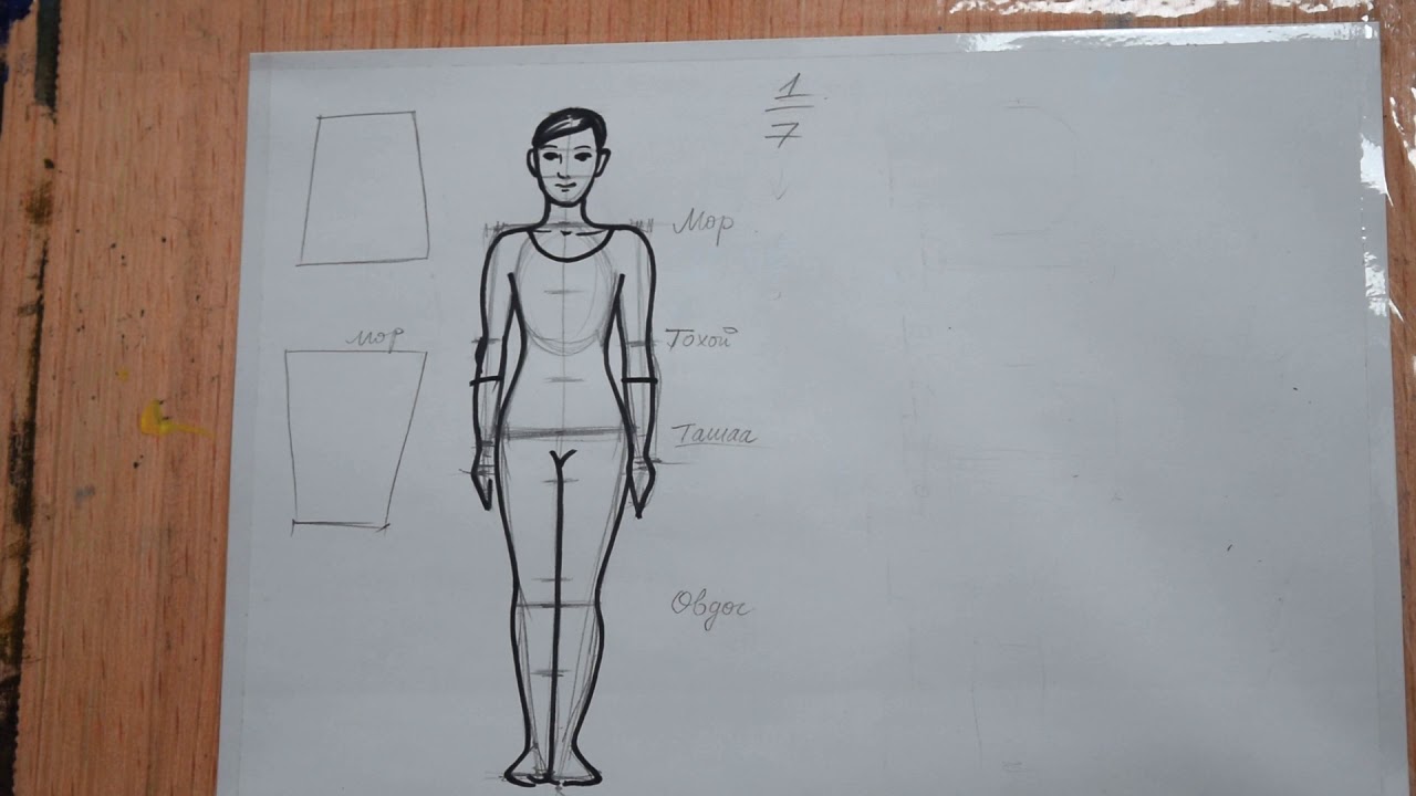 Том хүн болон хүүхдийн биеийн харьцаа зурах хичээл Youtube