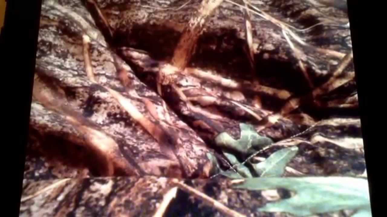 IRL video of minecraft stuffed animals - YouTube