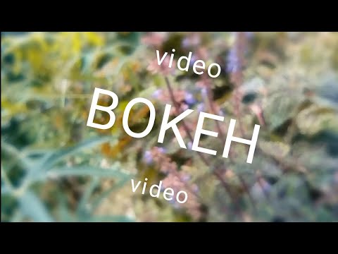Bokeh video Bikin Segar Mata