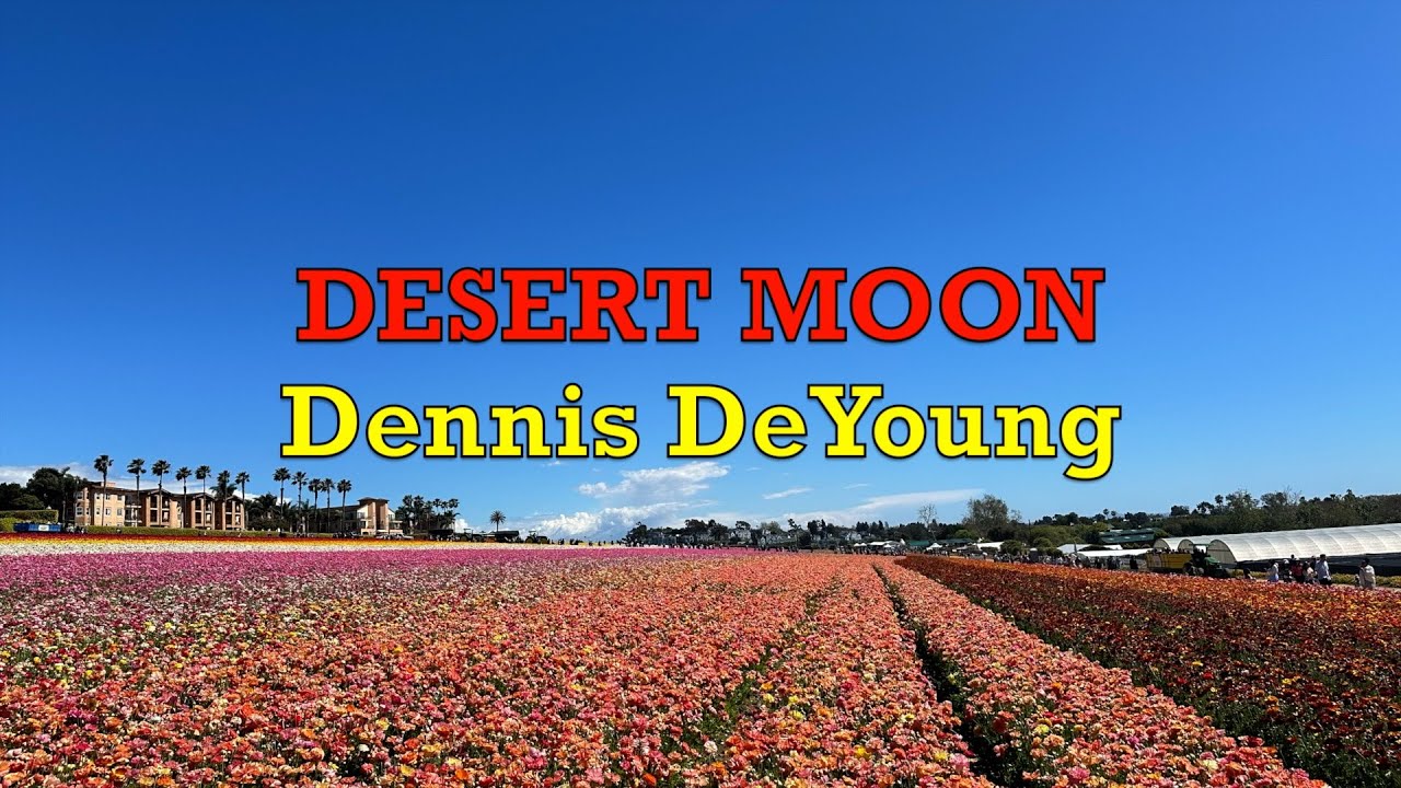 Desert Moon - Dennis DeYoung | Lyrics - YouTube