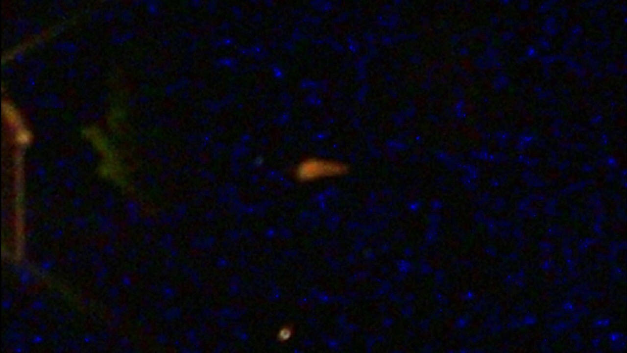 Strange sky anomalies and weird creatures caught on video 2016 - YouTube