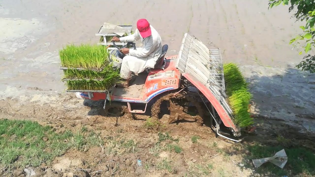 Rice planting machine in pakistan - YouTube