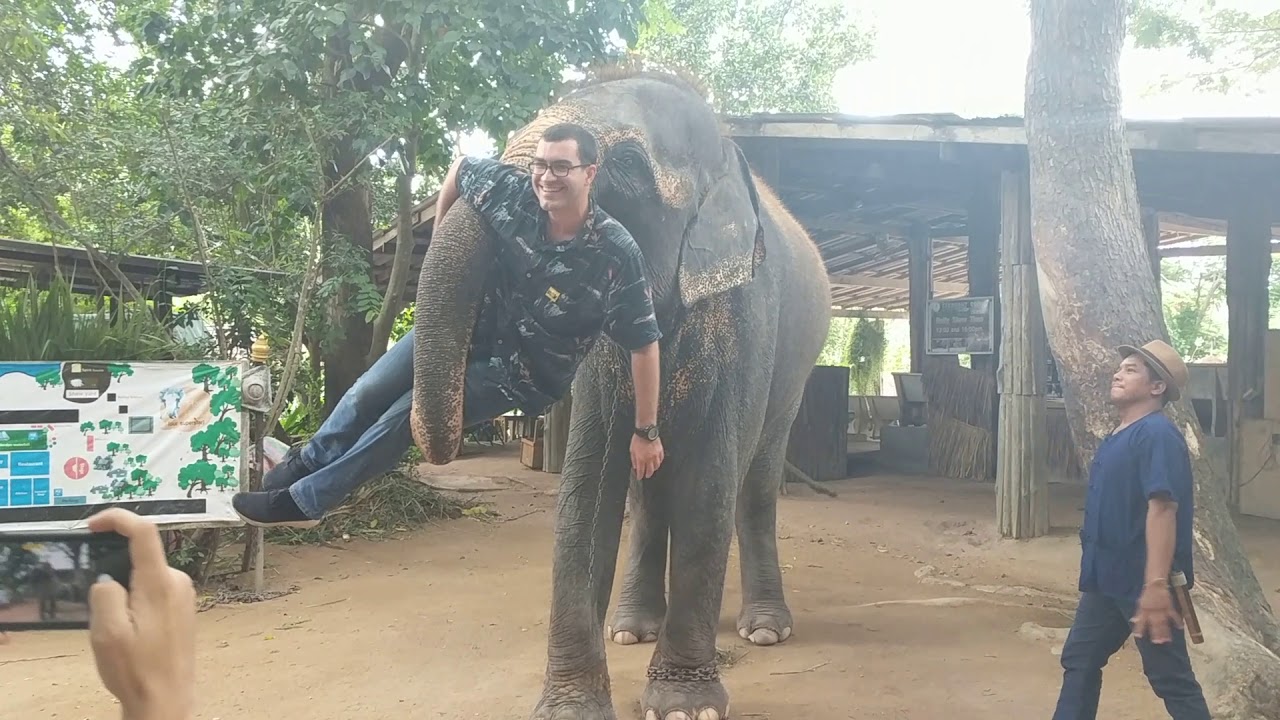 Elephant Picks Up Man - YouTube