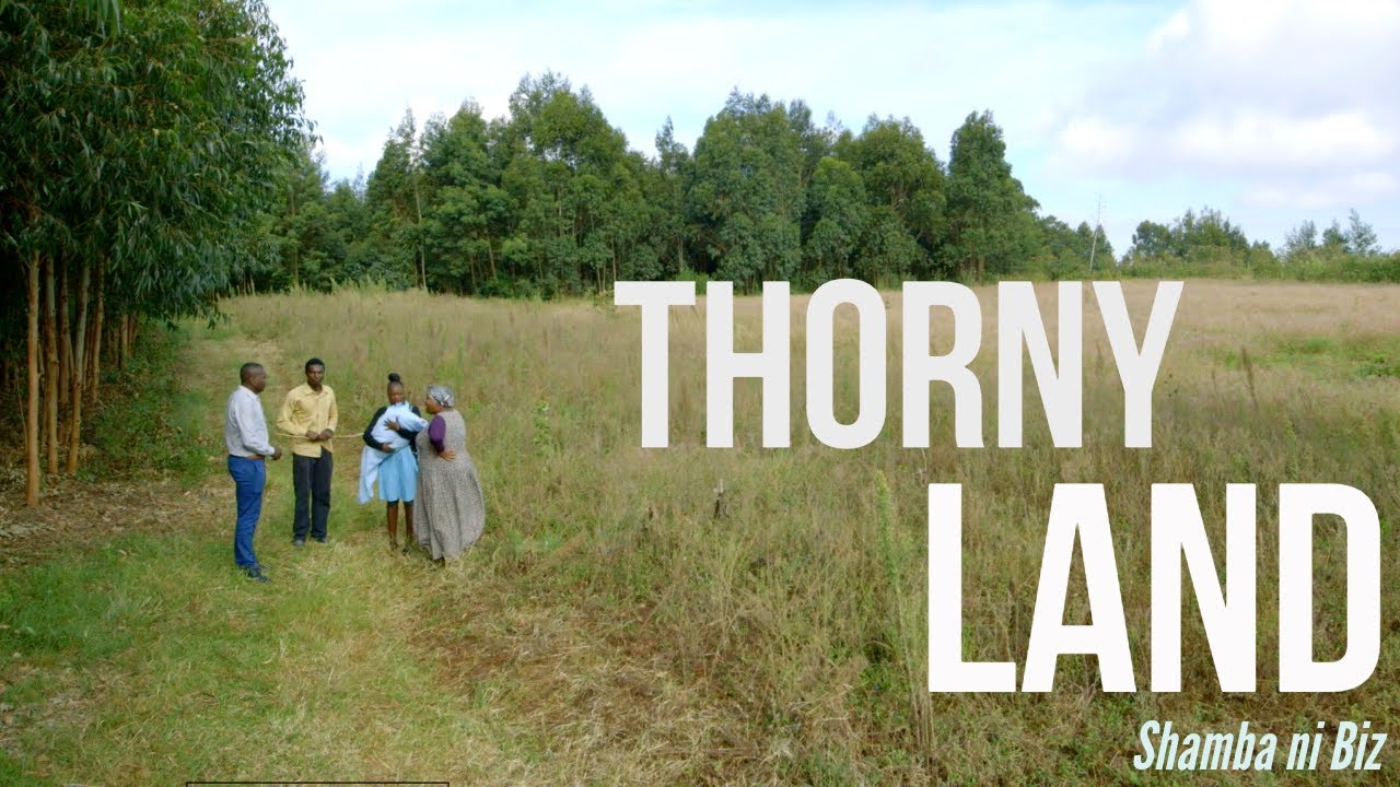 Shamba Shape Up Mini Drama( Shamba ni Biz) – Episode 7: Thorny Land ...