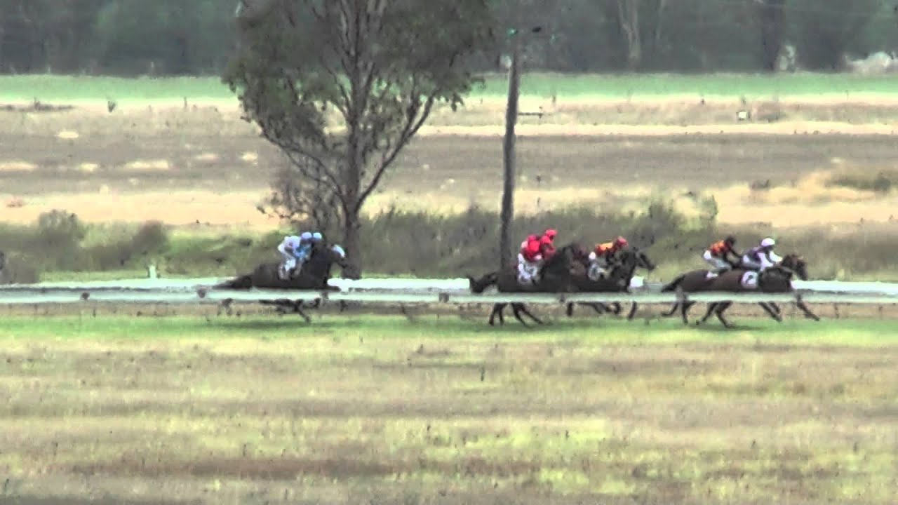 Thangool Races 6 Dec 2014 - YouTube