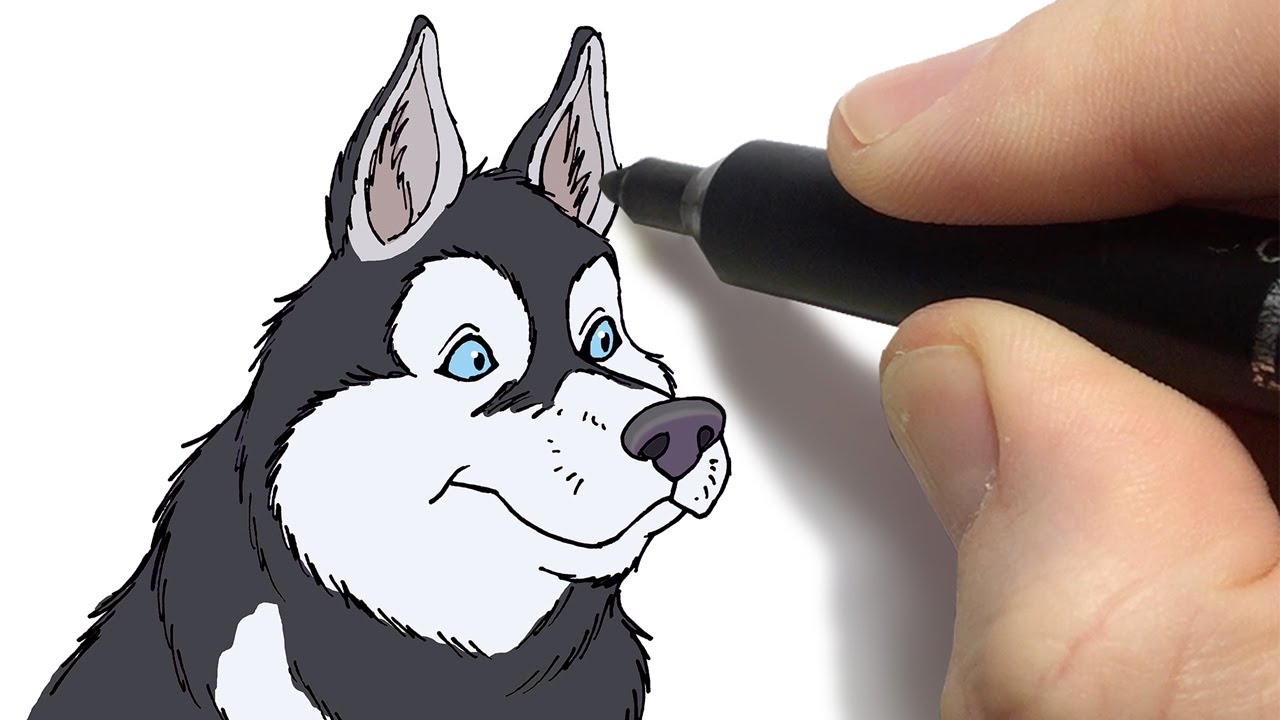 How to Draw a Husky | Cartoon Style | Step by Step - YouTube