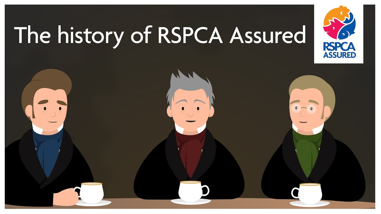 History of RSPCA Assured | Subtitles - YouTube