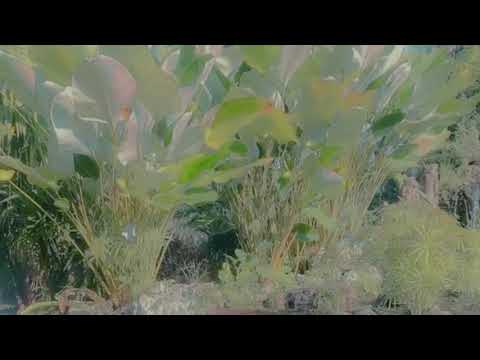 Baştan çıkarıcı, çekici güzellik + Herkesi kendine çek! Heather & Main character subliminal