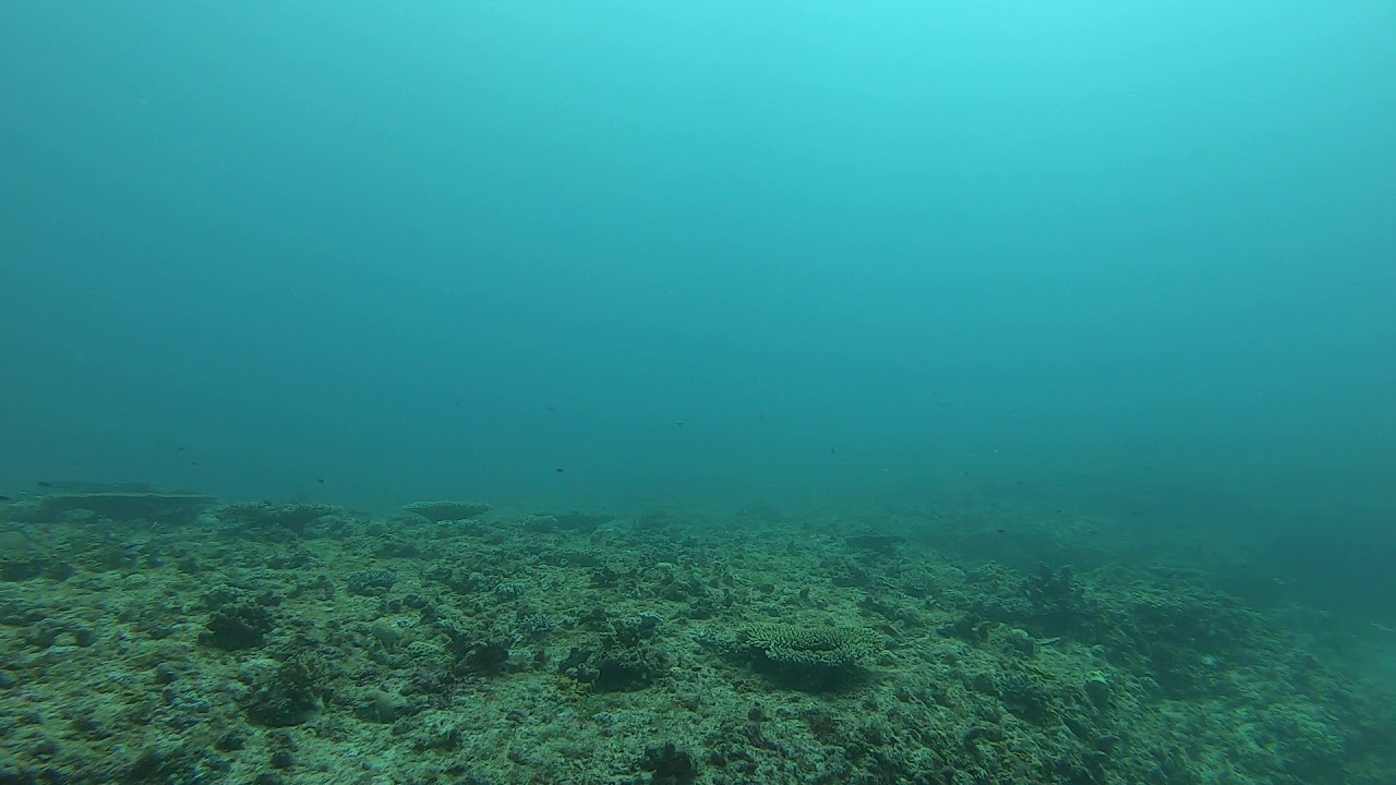 Douglas Shoal Sediment Sampling Panorama Video (2019) A6-5 GH010032 ...