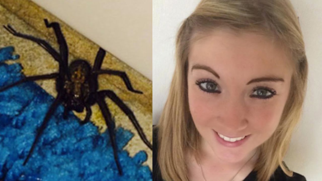 Girl Is Being Stalked By Giant Wolf Spider - YouTube