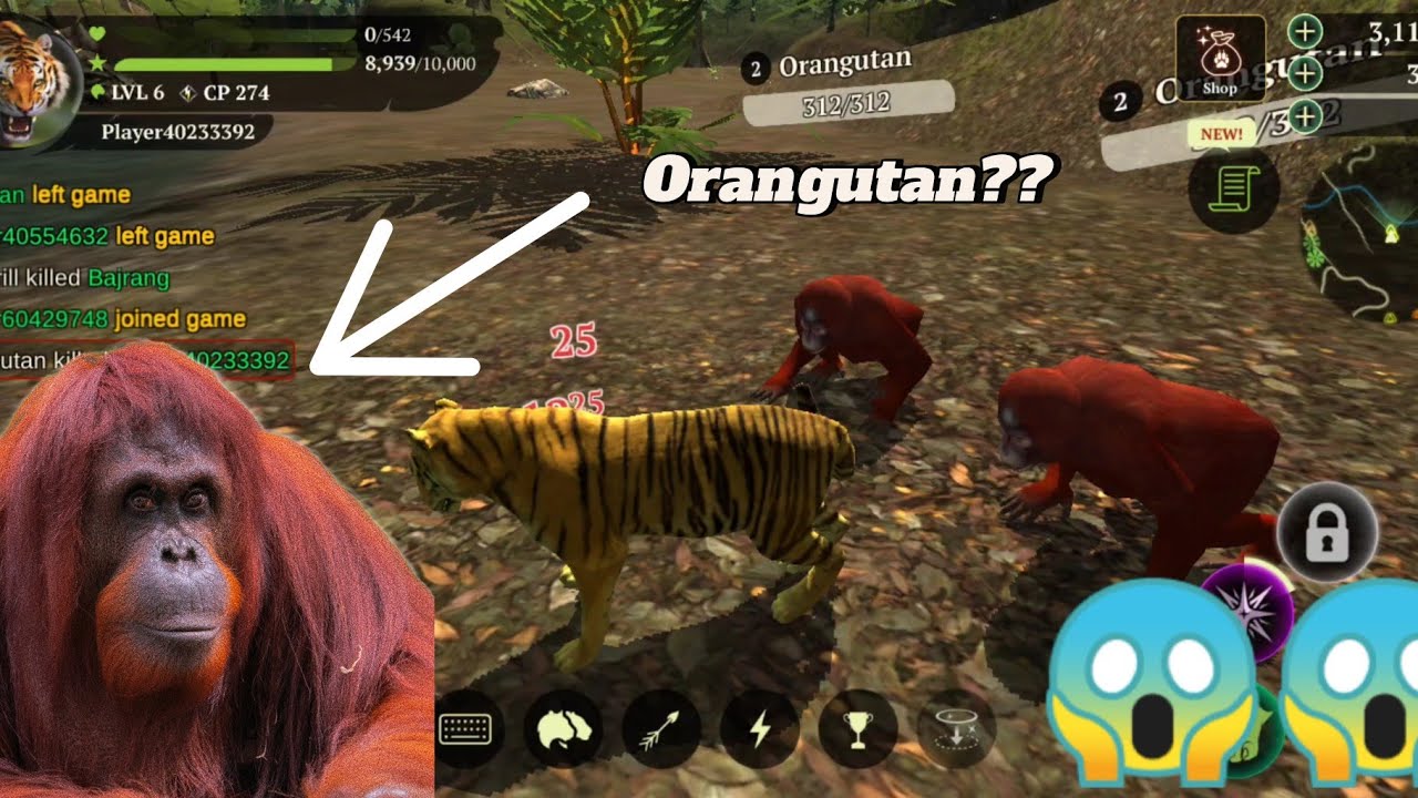 Tiger vs Orangutan || Lion attack game - YouTube