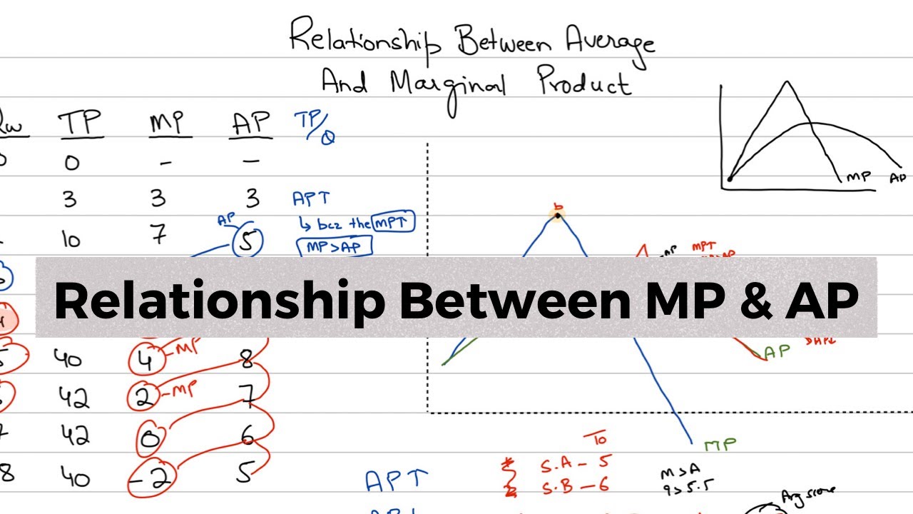 Relationship Between Marginal Product & Average Product - YouTube
