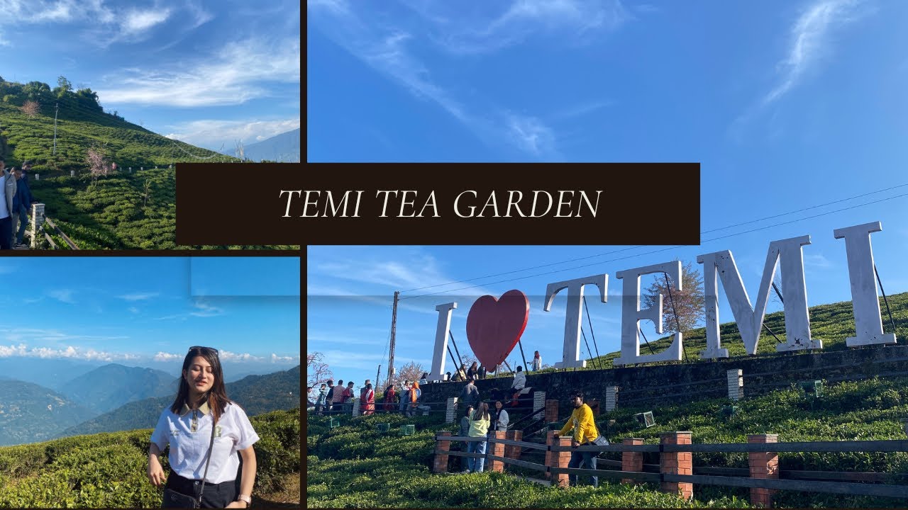 A trip to TEMI TARKU, SOUTH SIKKIM🎐🍃 - YouTube