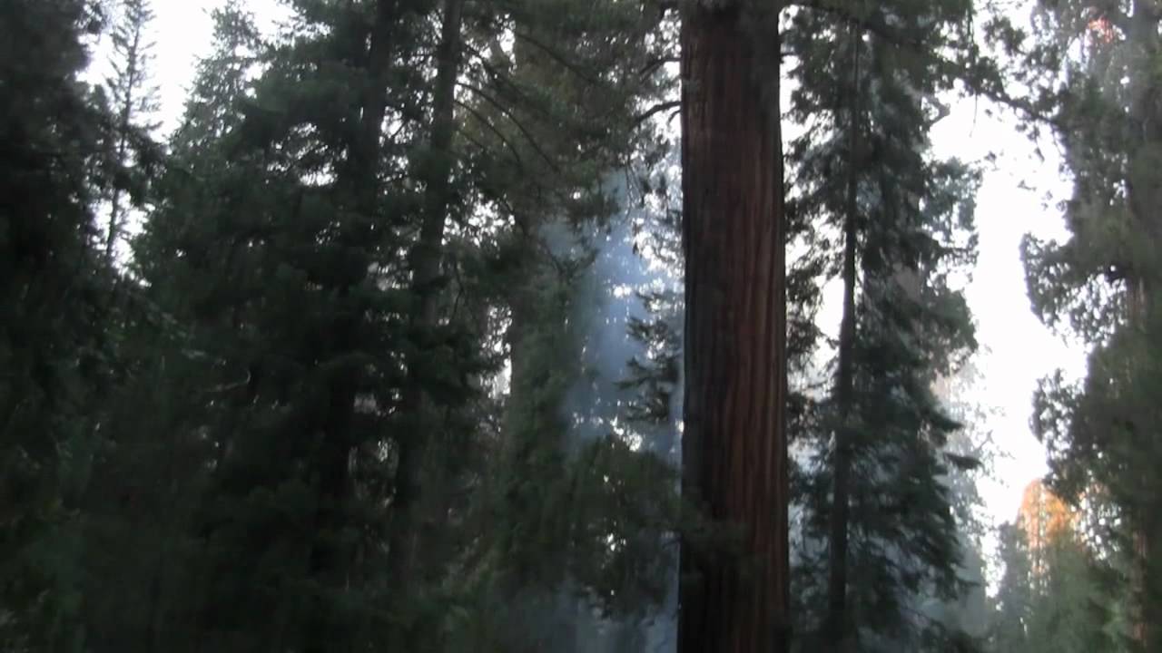 Round Meadow Fire - YouTube