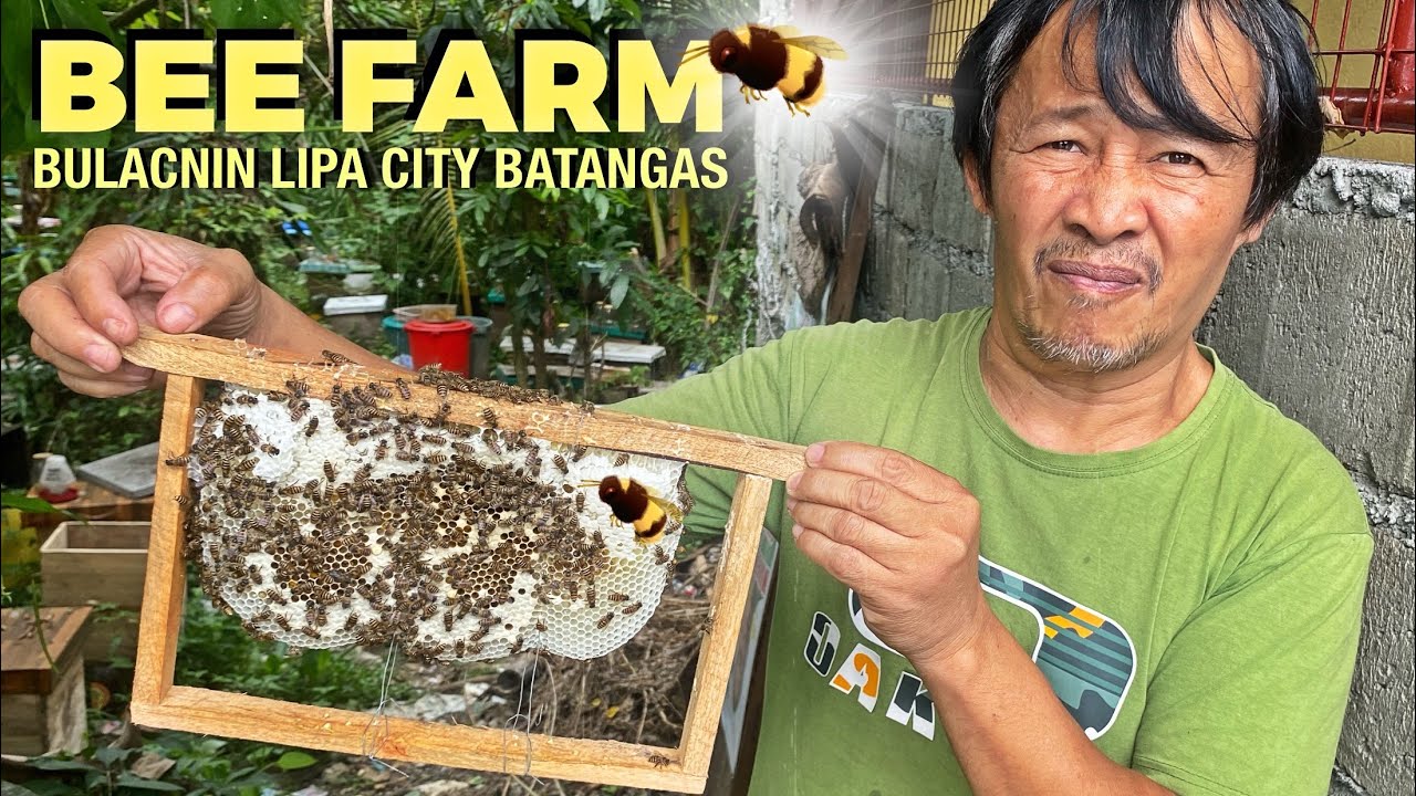 PoOD Trip - Bee Farm 🐝100% Pure Natural Honey 🍯 Honey Pollen | Bulacnin ...