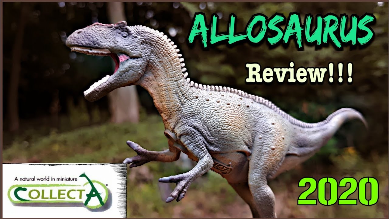 2020 Collecta "Roaring" Allosaurus Review!!! - YouTube