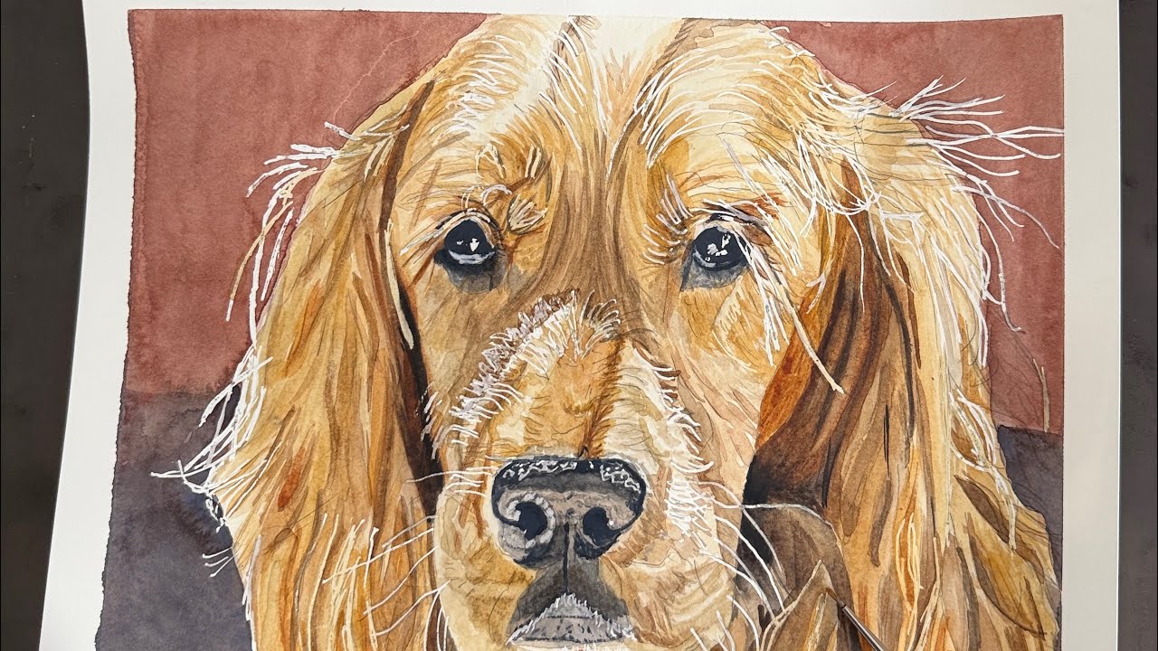 Watercolour painting of cocker spaniel - YouTube