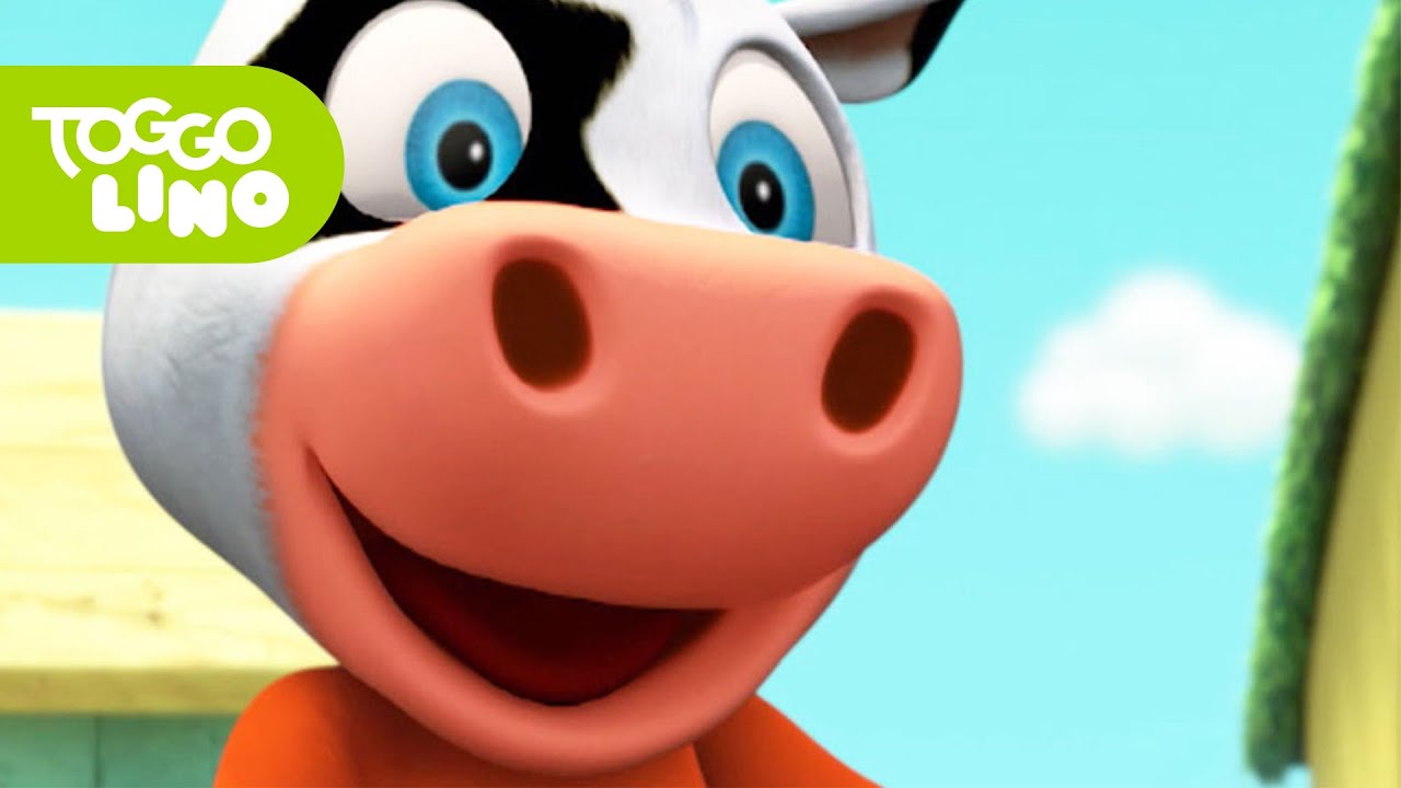 Toggolino und die Überraschung | Abenteuer mit Toggolino - YouTube